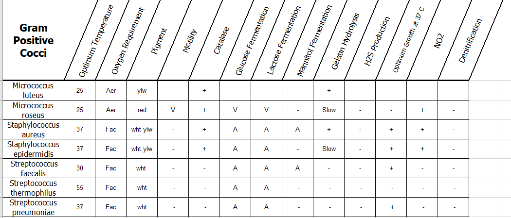 Gram Positive Cocci Chart