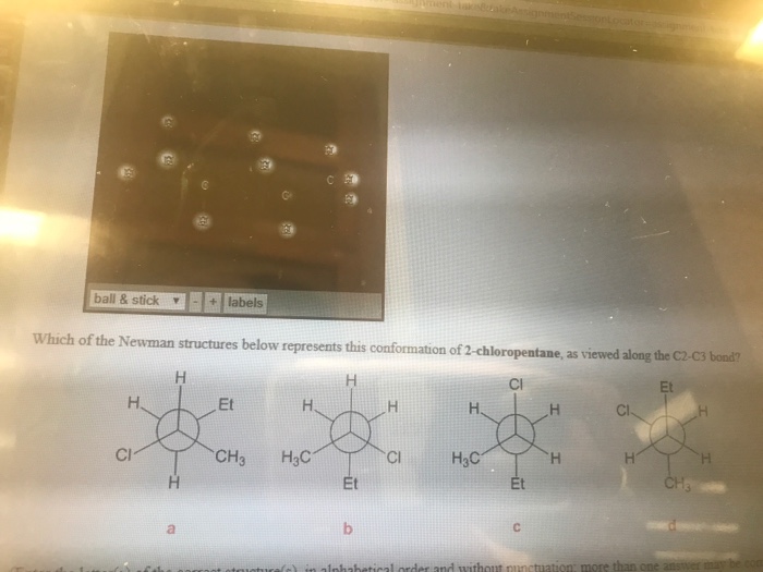 Solved Which of the Newman structures below represents this | Chegg.com