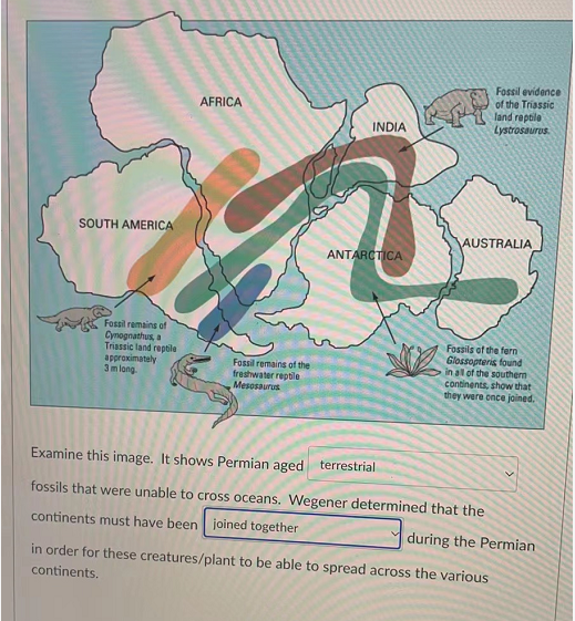 Continental Drift Theory Fossil Evidence