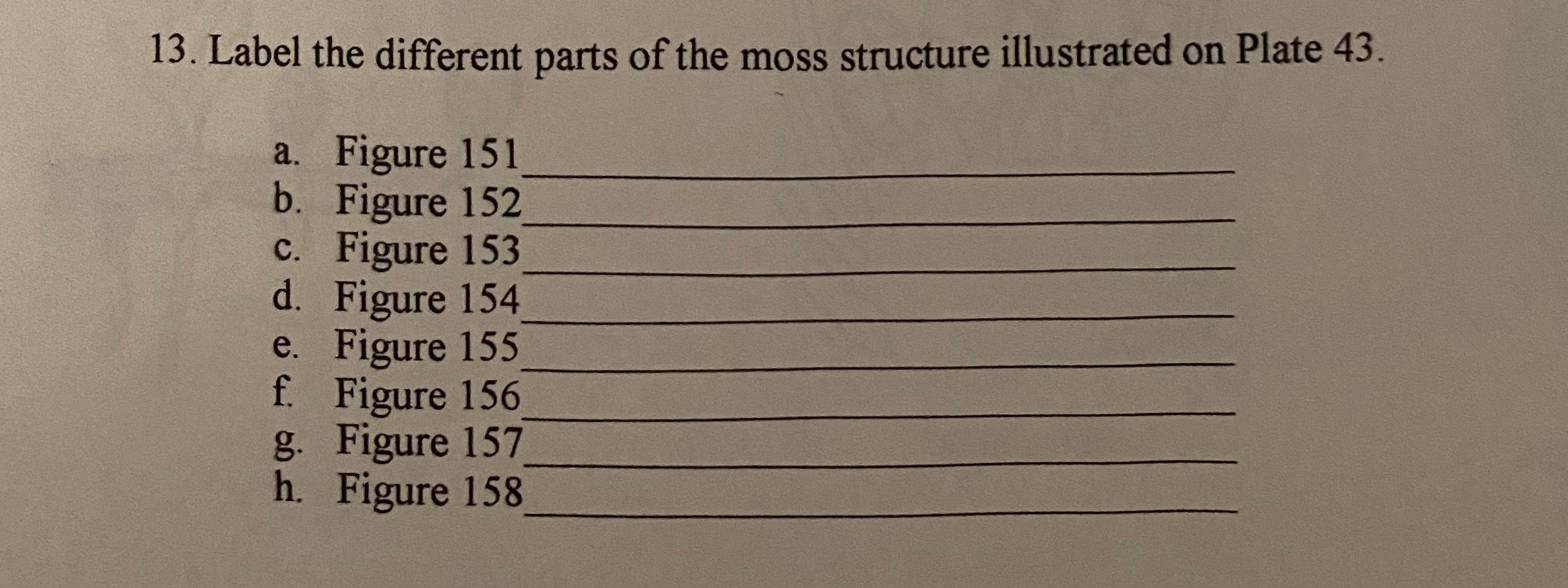Solved 13. Label the different parts of the moss structure | Chegg.com