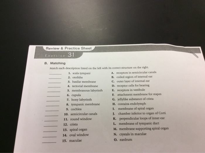 Solved Review & Practice Sheet Exercise B. Matching Match | Chegg.com