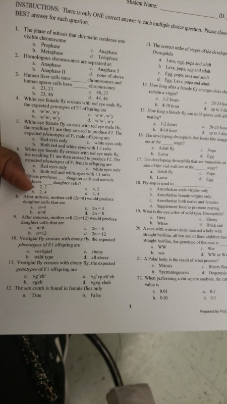 Solved Student Name: INSTRUCTIONS: There is only ONE correct | Chegg.com