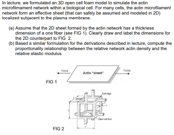 Solved In lecture, we formulated an 3D open cell foam model | Chegg.com