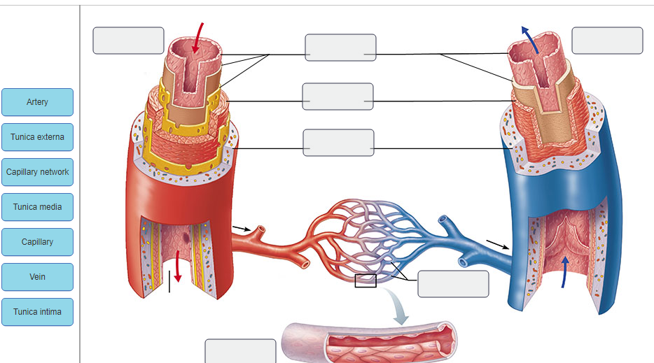 Solved PART 1-PART 2- | Chegg.com