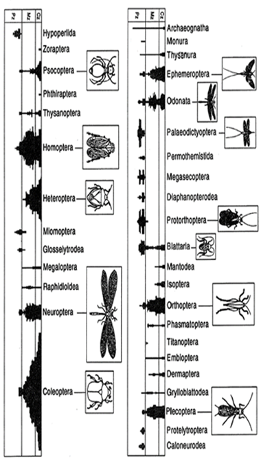 Solved Explain by making a strong case using specific taxa | Chegg.com