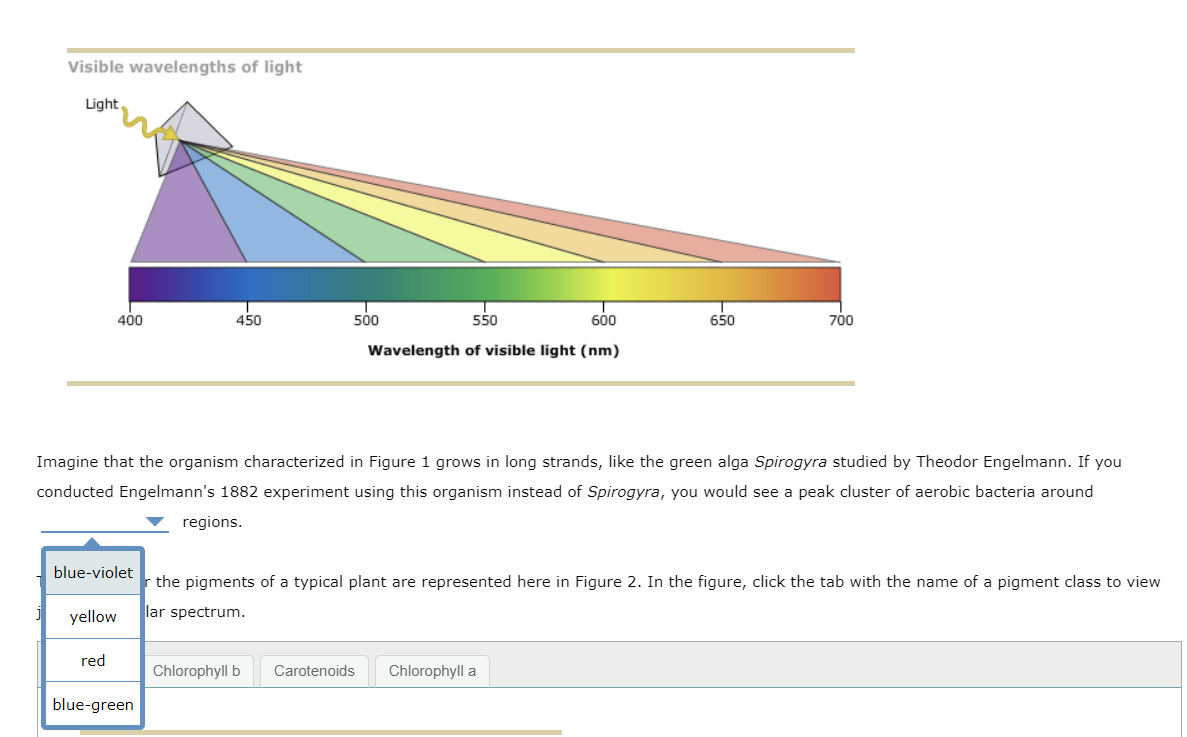Solved 2. How absorption and action spectra are related | Chegg.com