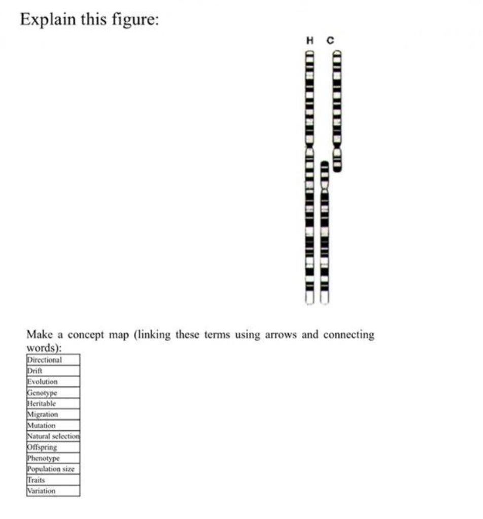 Solved Explain this figure: Make a concept map (linking | Chegg.com