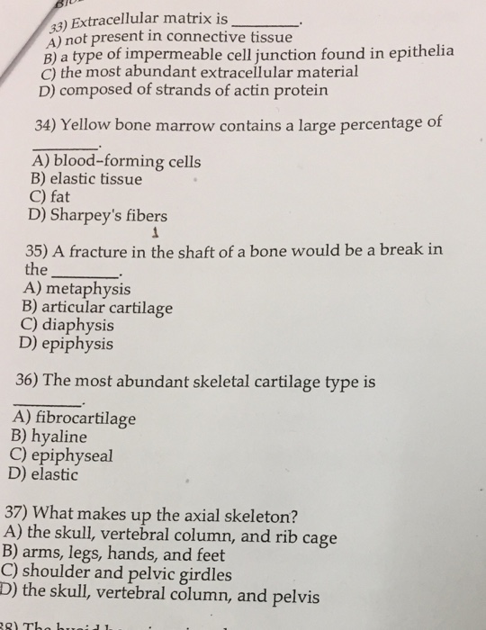 Solved 33) Extracellular matrix is A)not present in | Chegg.com