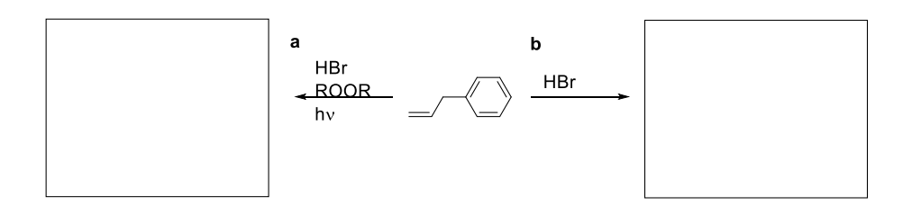 Solved HBr HBr ROOR hv | Chegg.com