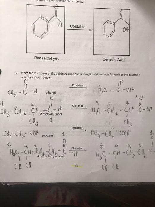 Solved Tul 018 Peaction s shown below Oxidation Benzaldehyde | Chegg.com