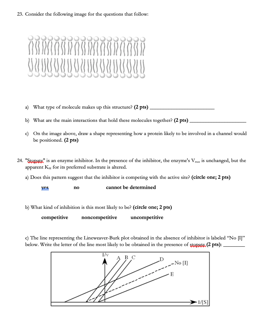 Solved 23. Consider the following image for the questions | Chegg.com