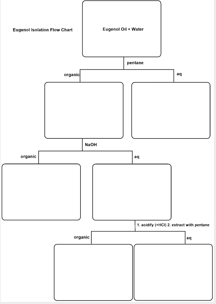 Solved Eugenol Isolation Flow Chart Eugenol Oil + Water | Chegg.com