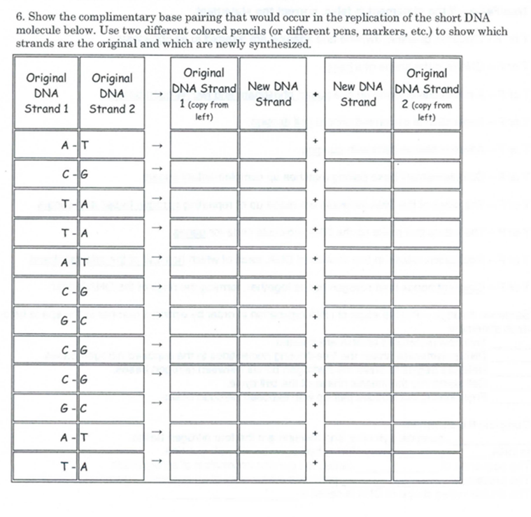 Solved 6. Show the complimentary base pairing that would | Chegg.com