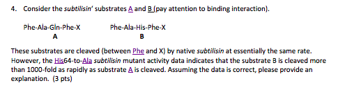Solved Consider the subtilisin' substrates A and B (pay | Chegg.com