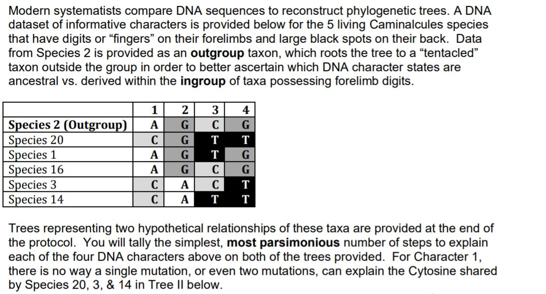 Solved Modern systematists compare DNA sequences to | Chegg.com