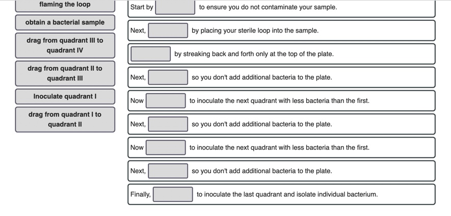 flaming the loop Start by to ensure you do not | Chegg.com