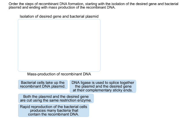 Solved Order the steps of recombinant DNA formation, | Chegg.com