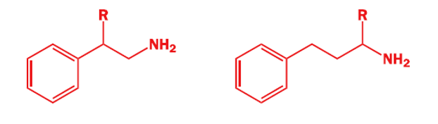 Solved -20 R NH2 NH2 | Chegg.com