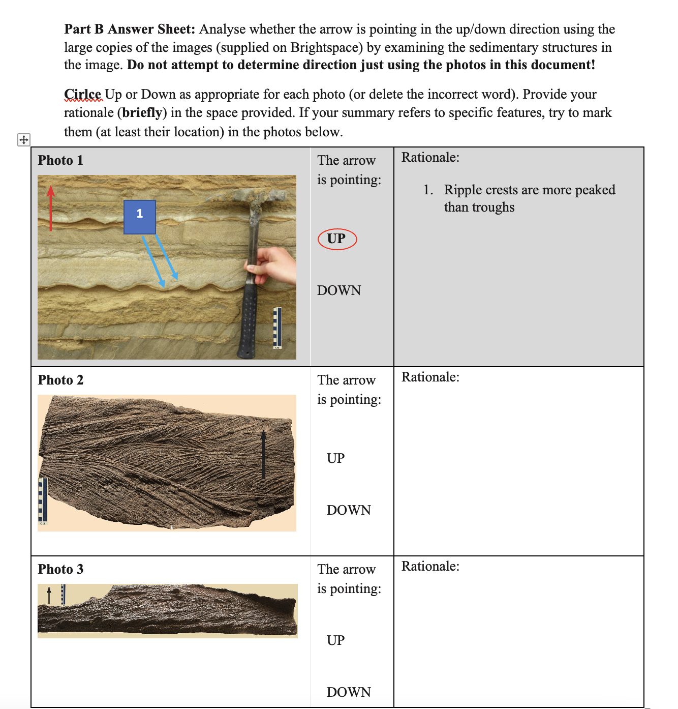 Solved Part B Answer Sheet: Analyse whether the arrow is | Chegg.com