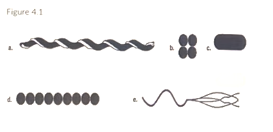 Solved Figure 4.1 2. b. c. d. cecececes c. | Chegg.com