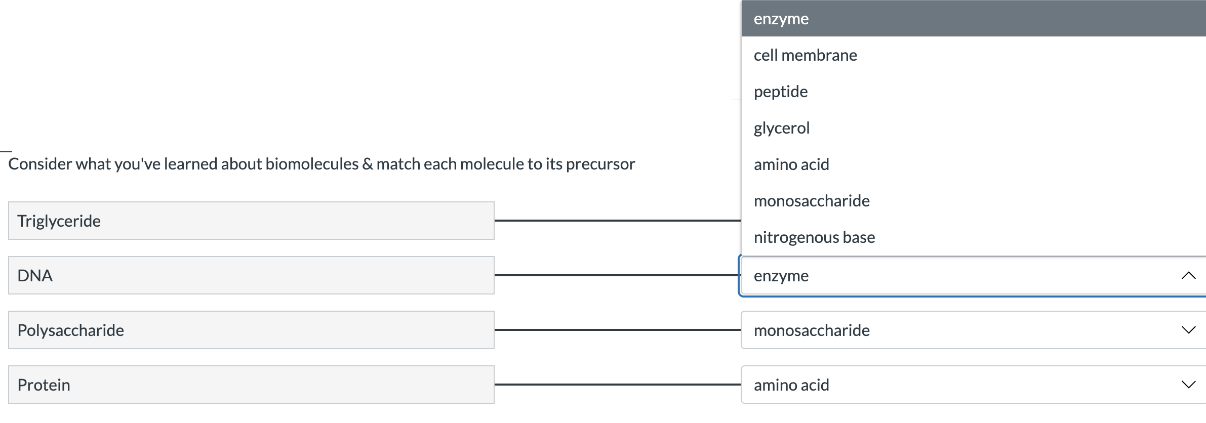 Solved Consider what you've learned about biomolecules & | Chegg.com