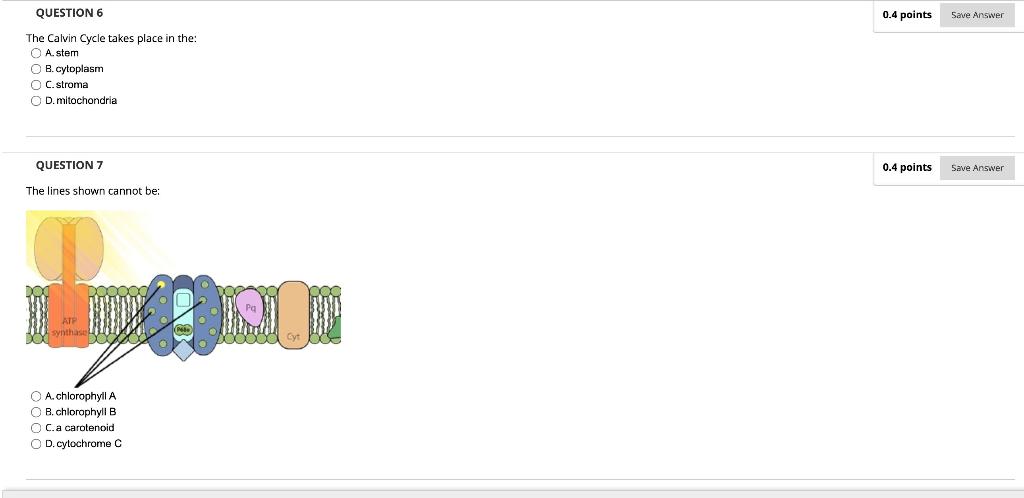 Solved The energy for photosynthesis is provided by: A. ATP | Chegg.com