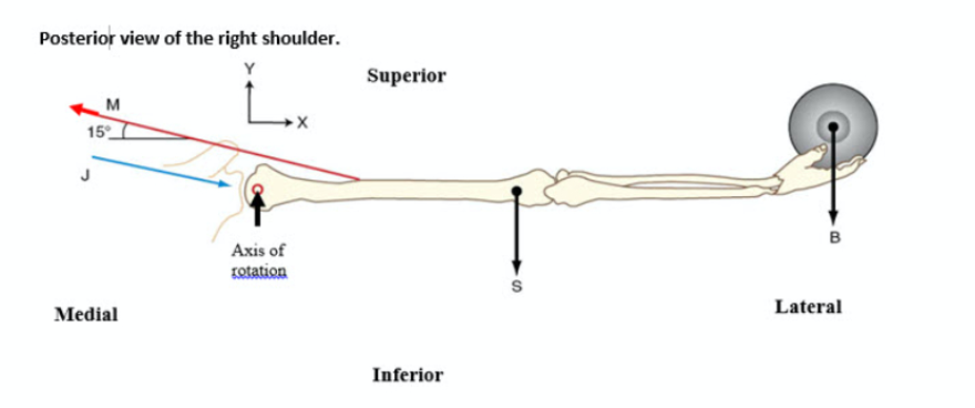 Solved Assuming all forces are accounted for on the diagram | Chegg.com