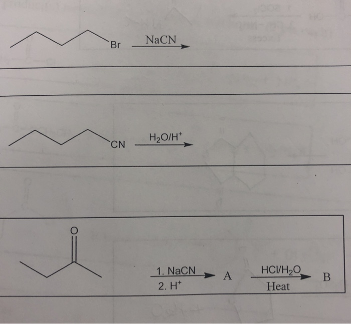 Solved Br NaCN CN H2O/H 1. NaCN 2. H HCI/H2O Heat | Chegg.com