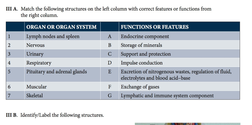 Solved 12 LAB EX 2 Language Of Anatomy Lab Activity 2 1 Chegg