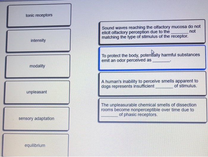 Solved tonic receptors Sound waves reaching the olfactory | Chegg.com