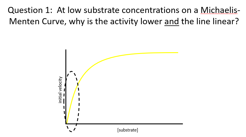 Solved Question 1: At low substrate concentrations on a | Chegg.com