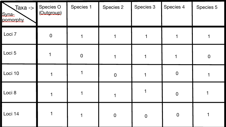 Solved How can you construct a phylogeny from this data | Chegg.com