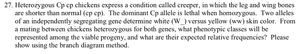 Solved 27. Heterozygous Cp cp chickens express a condition | Chegg.com