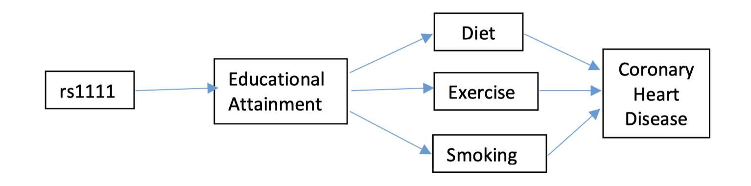 Solved Figure 1 Displays A Directed Acyclic Graph