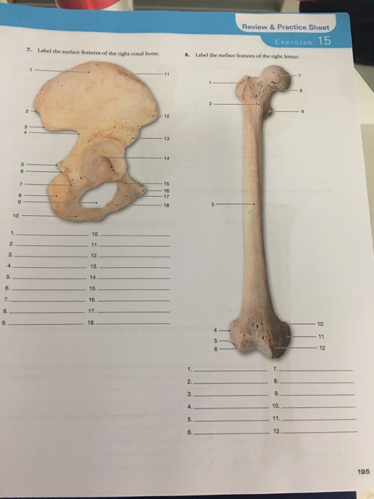 Review & Practice Sheet 7· Label the surface feature, | Chegg.com