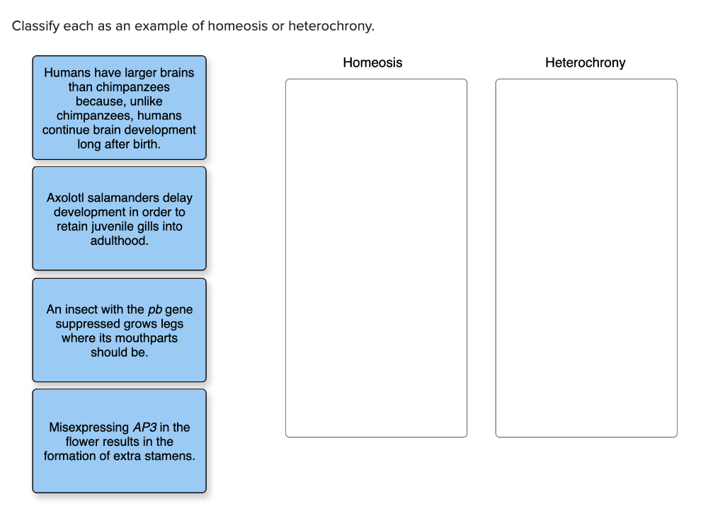 Solved Classify each as an example of homeosis or | Chegg.com