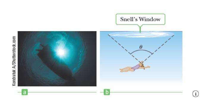 Solved A person swimming underwater on a bright day and | Chegg.com