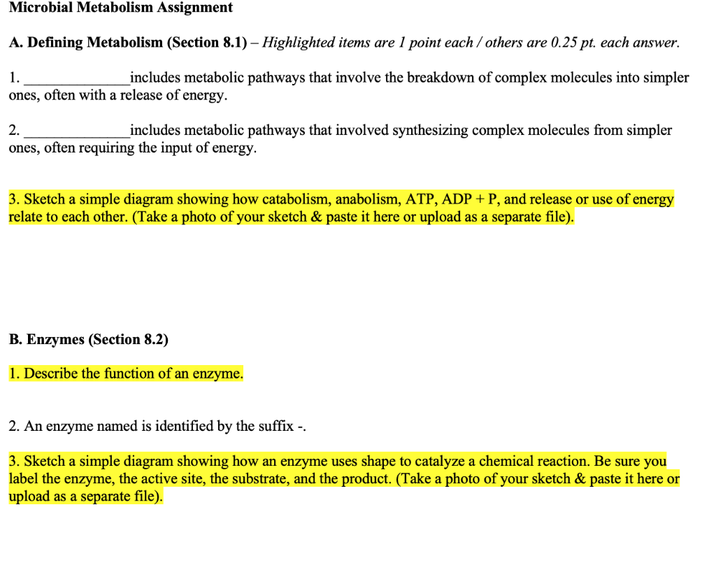 Solved Microbial Metabolism Assignment A. Defining | Chegg.com
