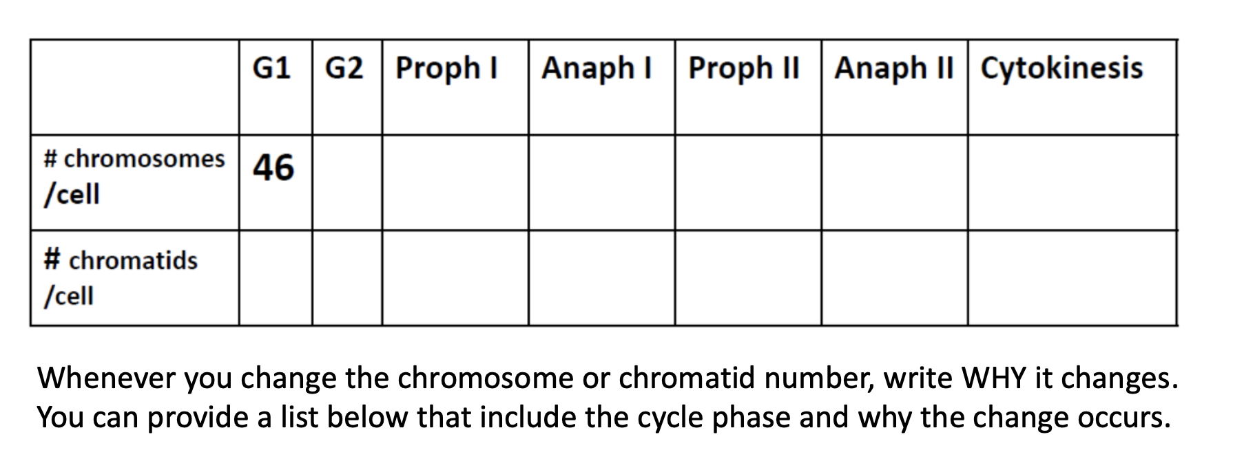 Solved G1 G2 Proph! Anaph Proph II Anaph II Cytokinesis | Chegg.com