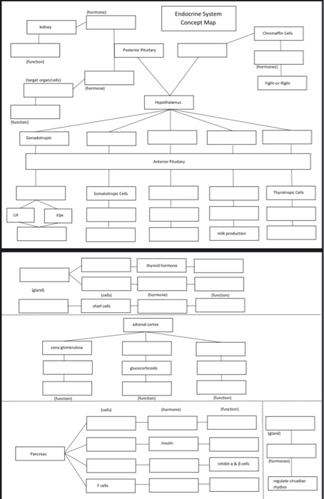 Solved Fil Fill in the missing blanks according to the | Chegg.com