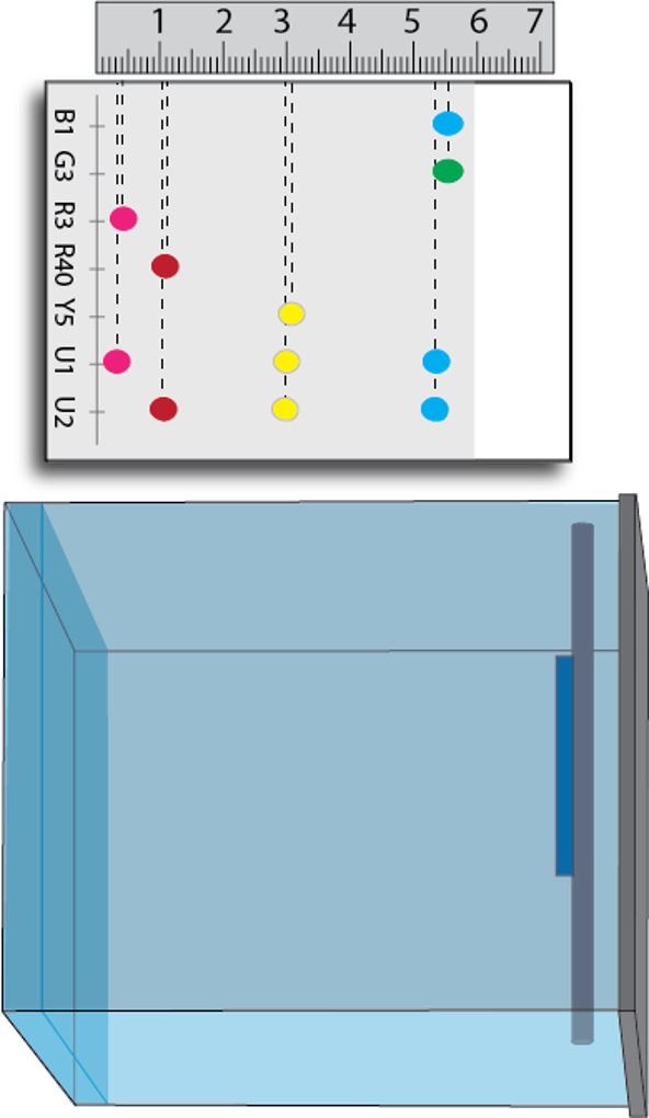 Solved Migration distance of solvent front: Migration | Chegg.com