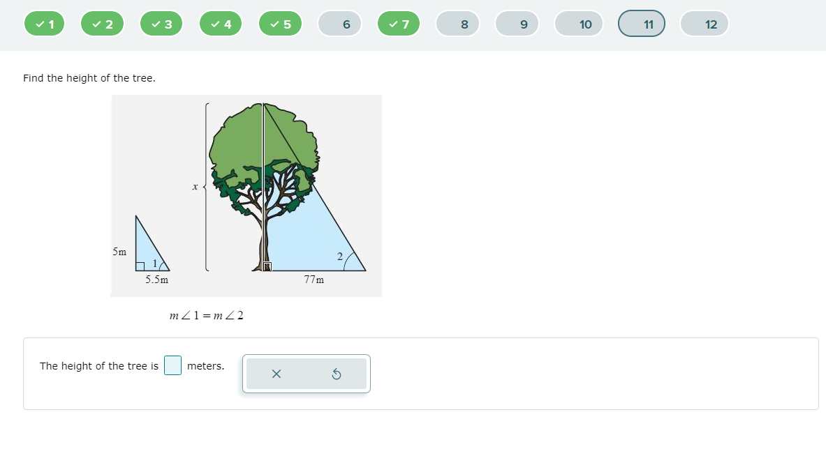 Solved 3 4 5 6 7 8 9 10 11 12 Find the height of the tree. | Chegg.com