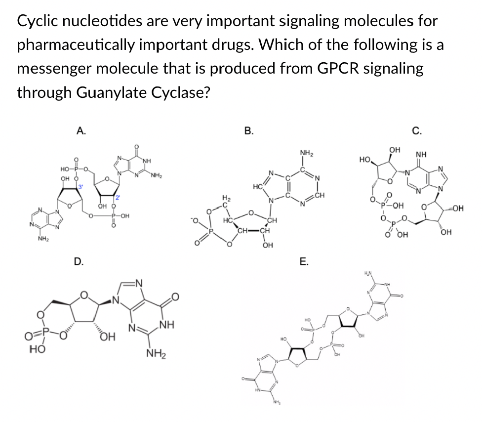 Solved Cyclic nucleotides are very important signaling | Chegg.com