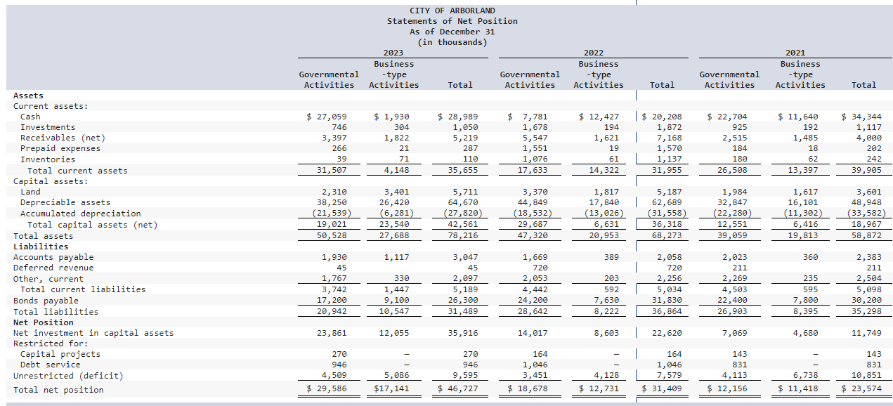 The government-wide financial statements for the City | Chegg.com