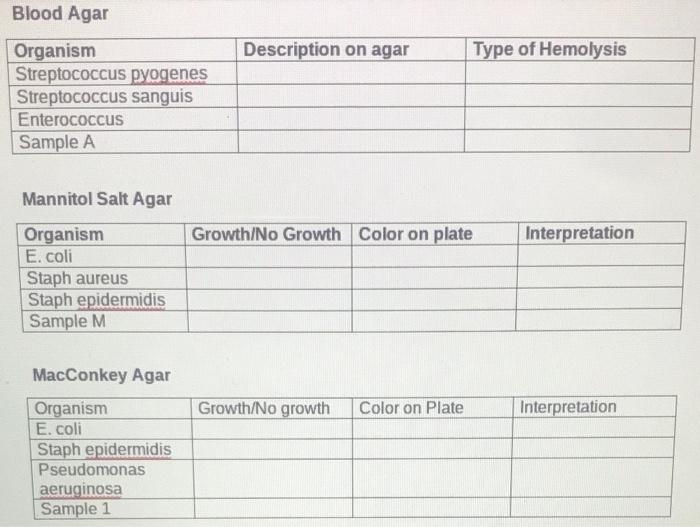 The information about Staphylococcus epidermidis and | Chegg.com