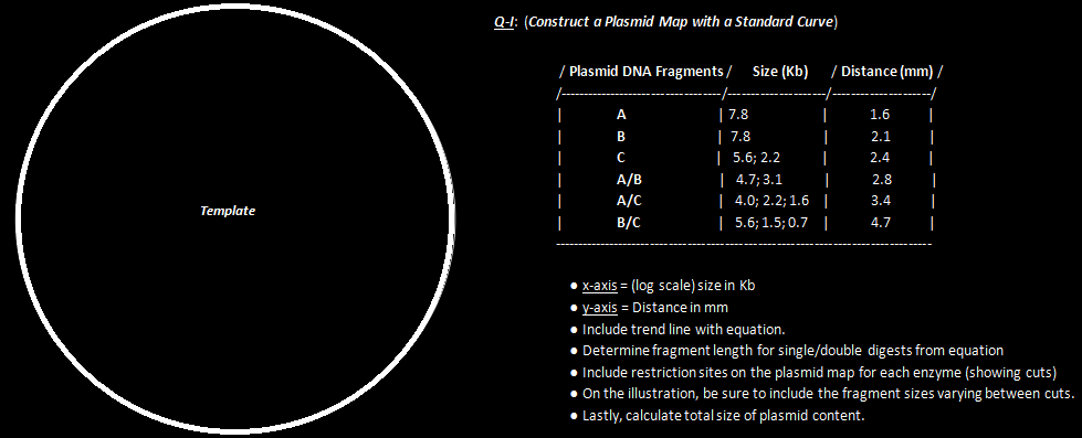 Solved Template Q-I: (Construct a Plasmid Map with a | Chegg.com