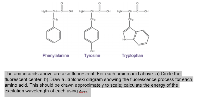 Solved The amino acids above are also fluorescent. For each | Chegg.com