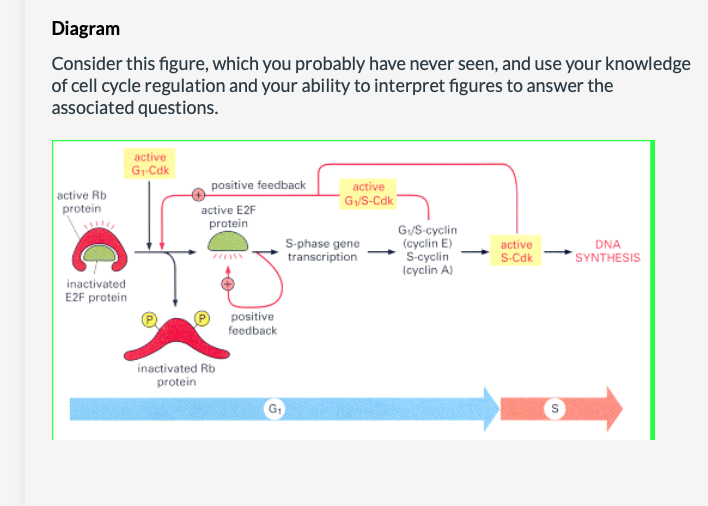 Solved Diagram Consider this figure, which you probably have | Chegg.com