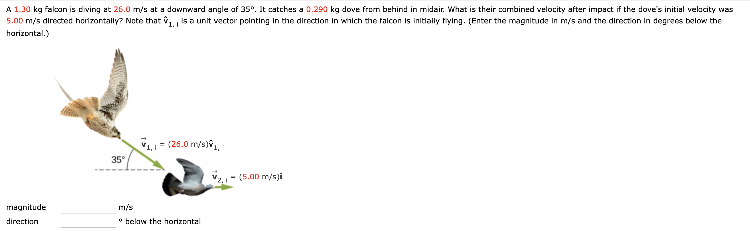 Solved horizontal.) magnitude m/s direction - below the | Chegg.com