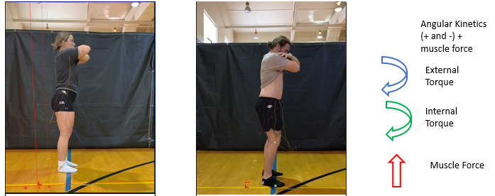 Use thearrows to show how internal and external | Chegg.com